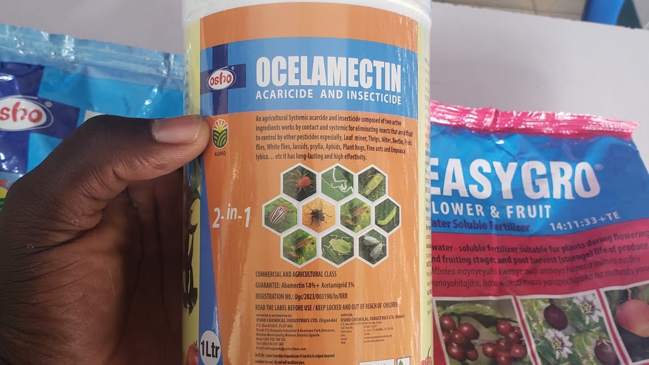 PESTICIDES, FUNGICIDES AND INSECTICIDES TO USE FOR SPRAYING WATERMELON ...