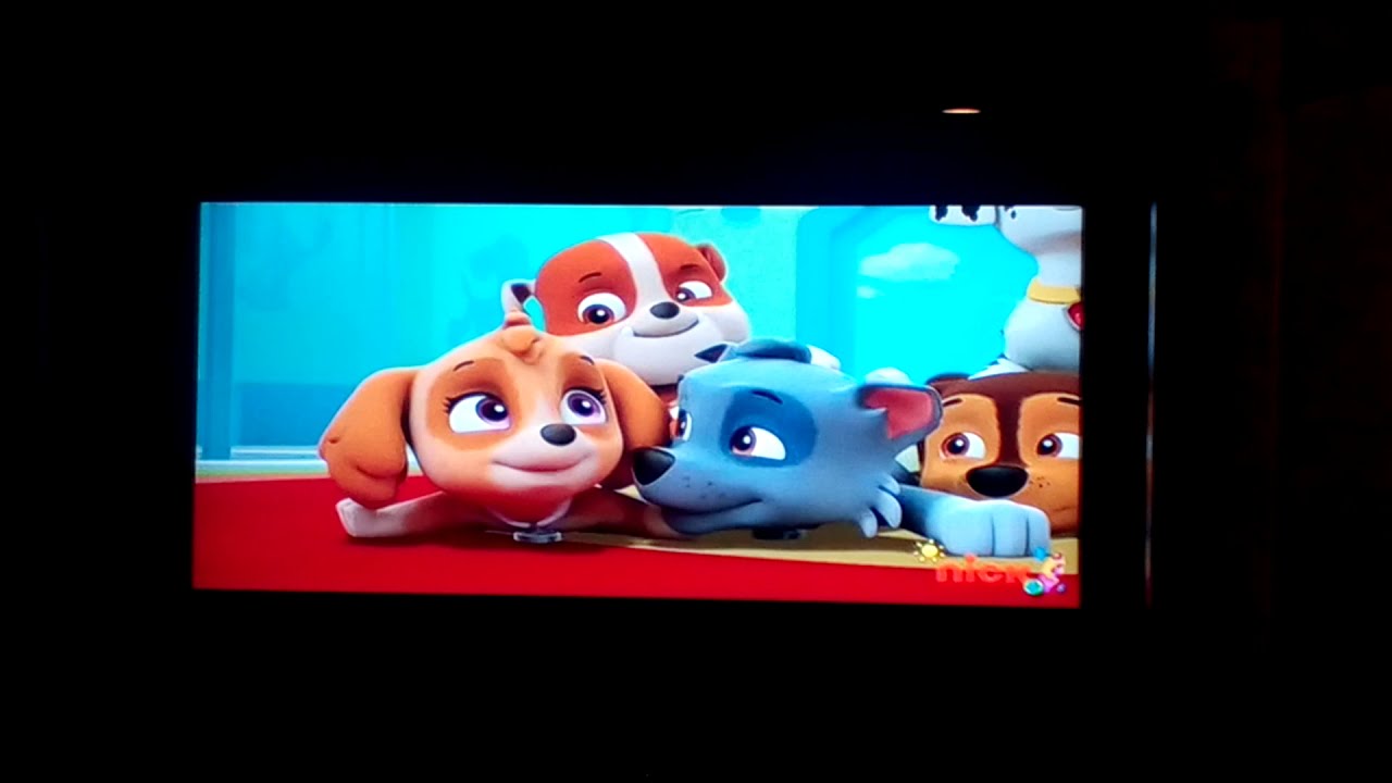 PAW PATROL A VERY SILLY & FUNNY MARSHALL MOMENT - YouTube