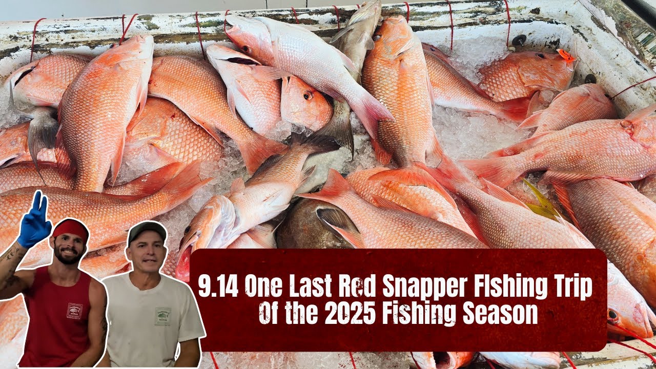 Red Snapper Finale! Our Last Red Snapper Trip of the Season! | Crushin' it w/ the Carty's - YouTube