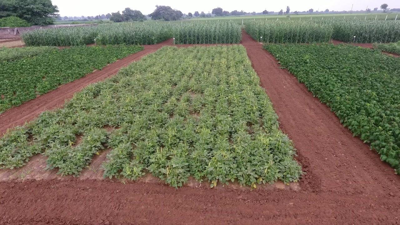 R&D Farm 2 - YouTube