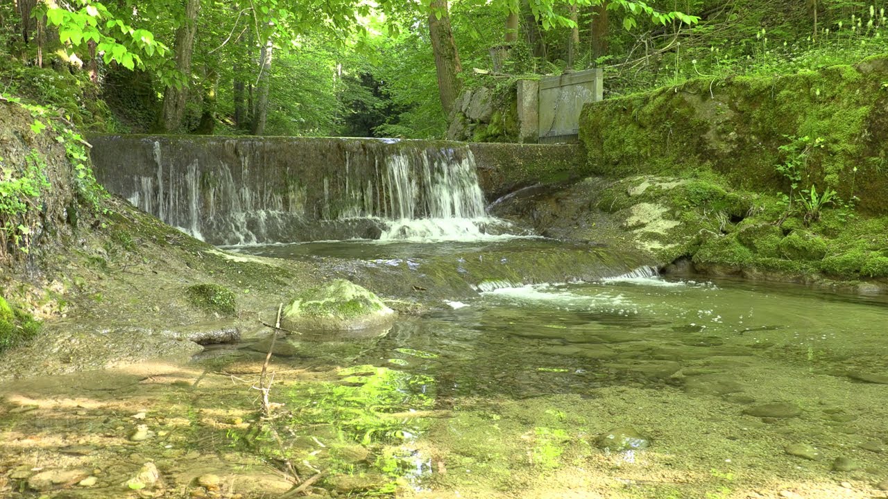 Zurich Nature 30 Minutes Uncut 4K Relaxation / Meditation - YouTube