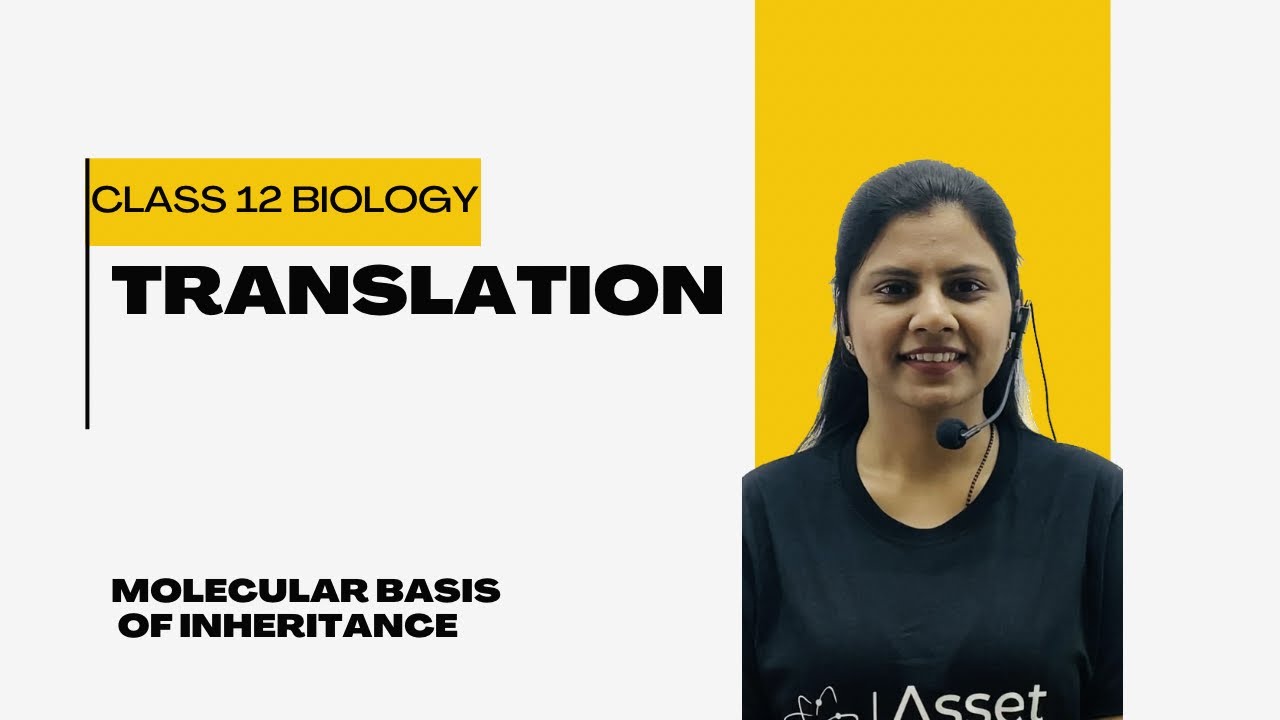 TRANSLATION | Molecular Basis of Inheritance | Class 12 Biology | NCERT ...