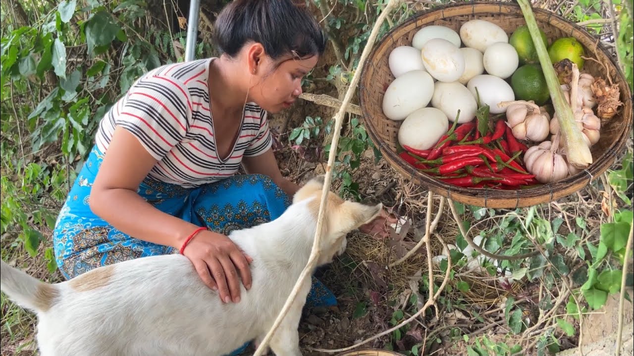 Primitive cooking eggs snake boil with chili sauce recipe county style ...