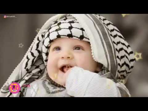Arabic whatsapp status video