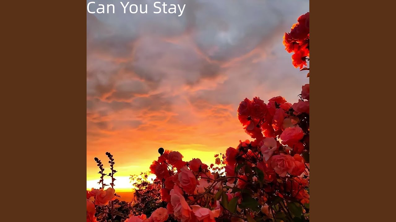 Can You Stay YouTube Music