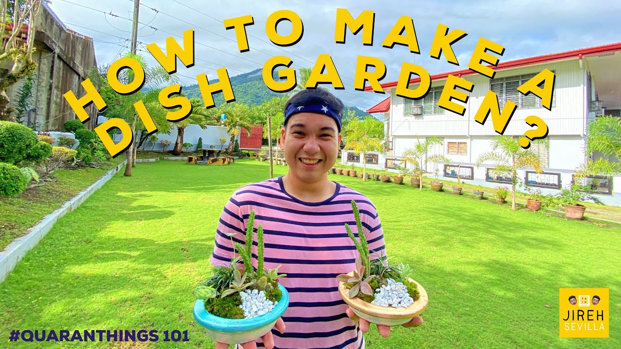 Dish Gardening (How to Make a Dish Garden?) | #quaranthings101 - YouTube