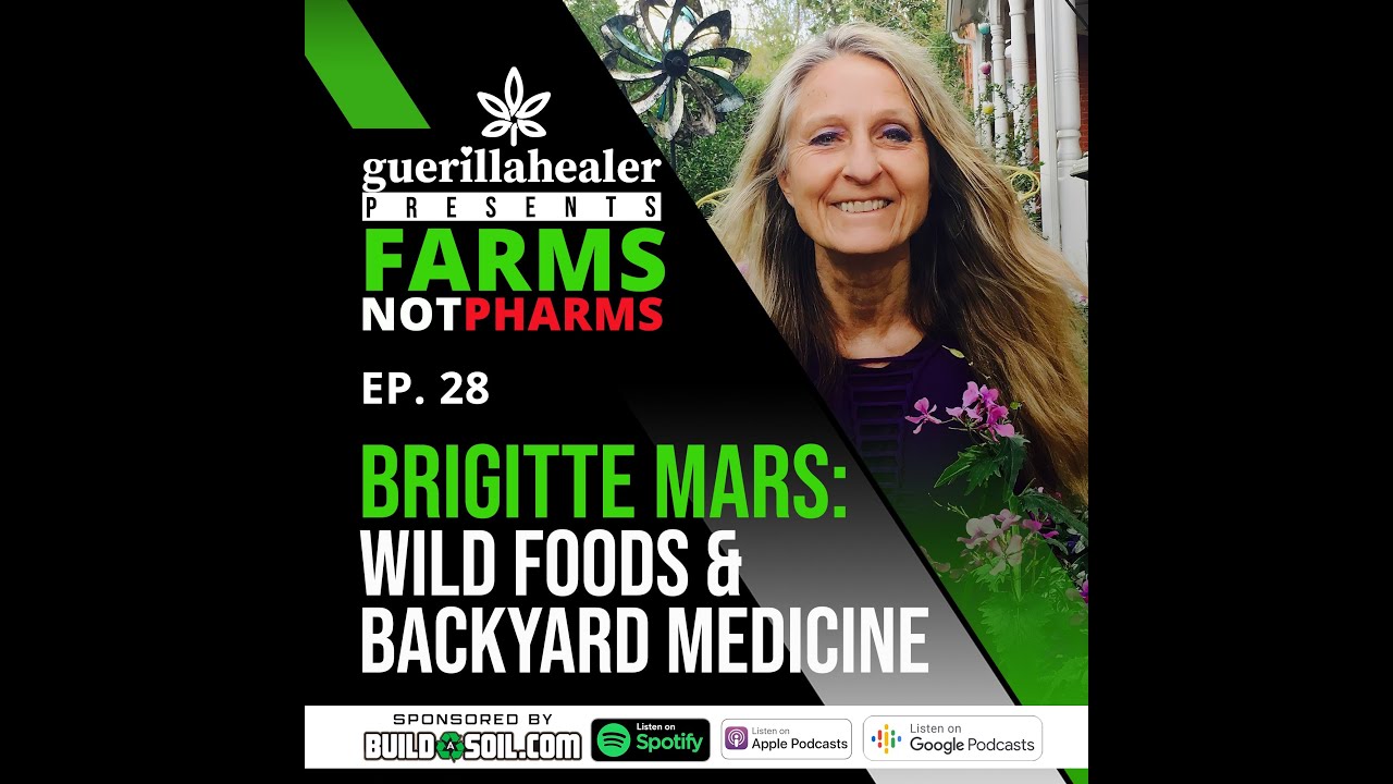 Farms Not Pharms ep. 28 | Brigitte Mars: Wild Foods & Backyard Medicine ...