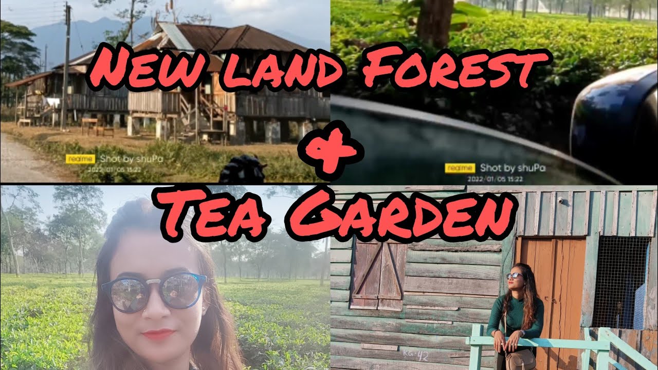 Kumargram, Newland forest & tea Garden [Barobisha, West Bengal] - YouTube