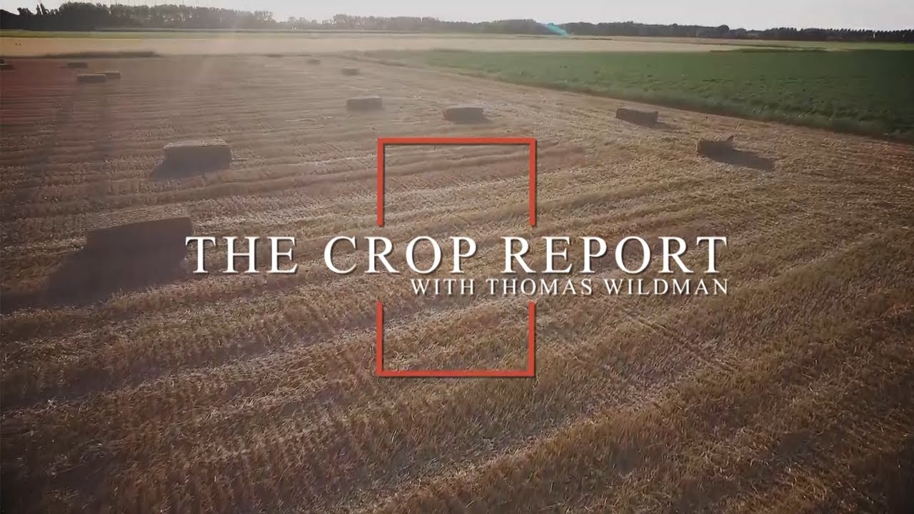 End of Season Crop Report - YouTube