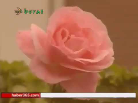 BERAT TV_ CELALEDDİN ADA ÖZLÜYORUM