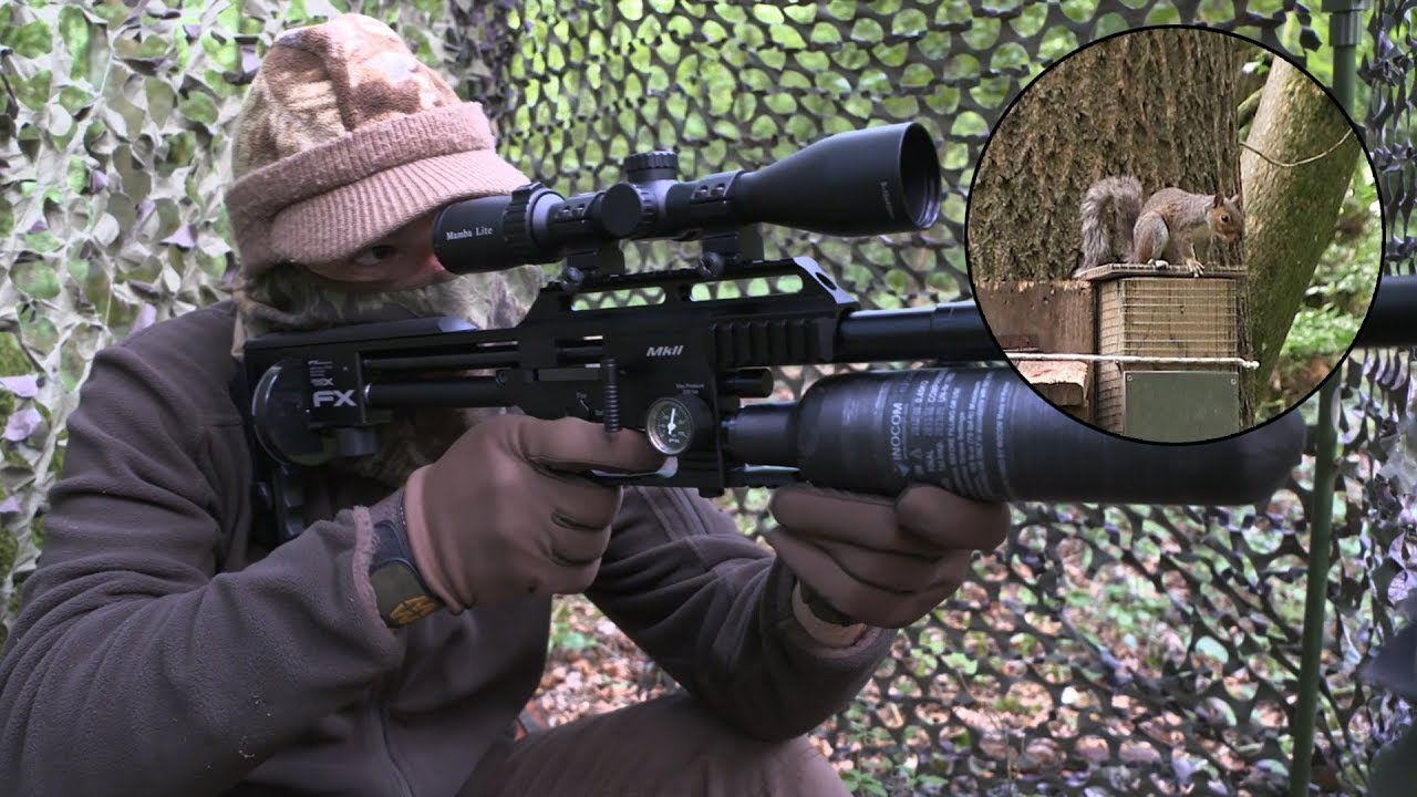 The Airgun Show – the best bait for squirrel hunting, PLUS the Brocock ...
