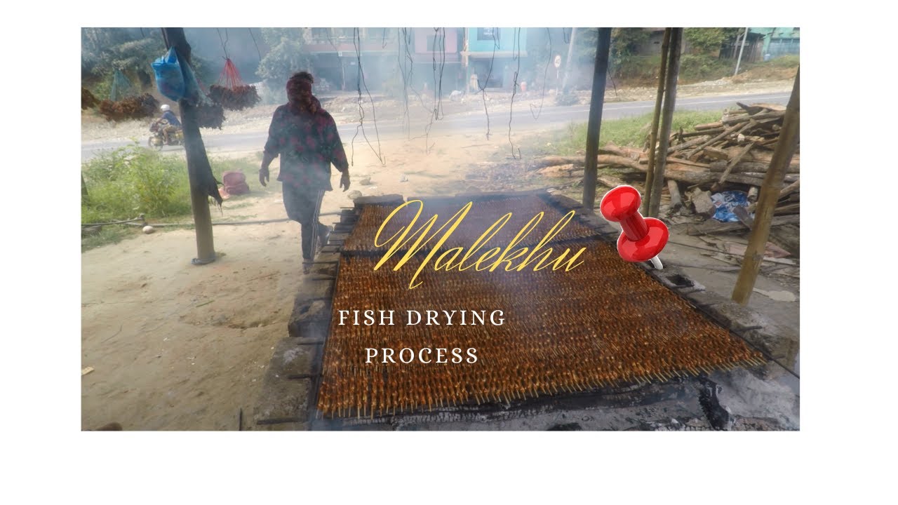 How fish is dried in Malekhu? (Full video) - YouTube