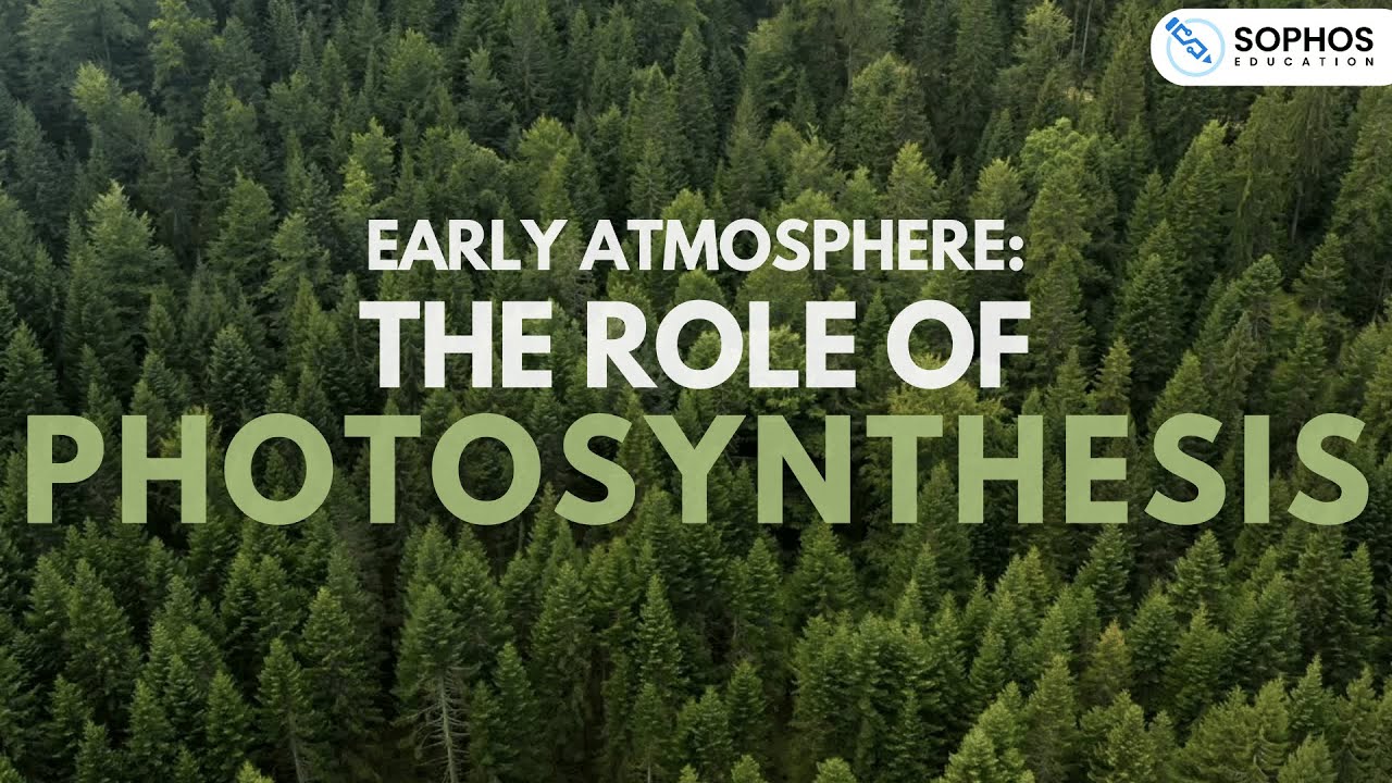 Early Atmosphere: The Role of Photosynthesis - YouTube