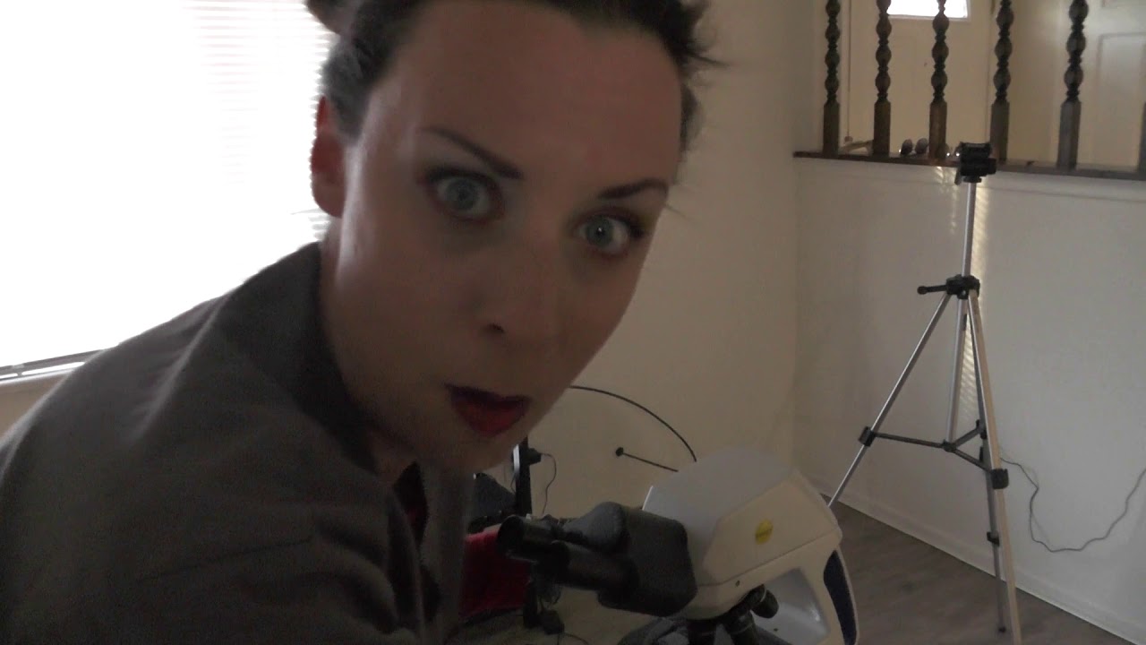 CVC Blood Histology Lab - YouTube