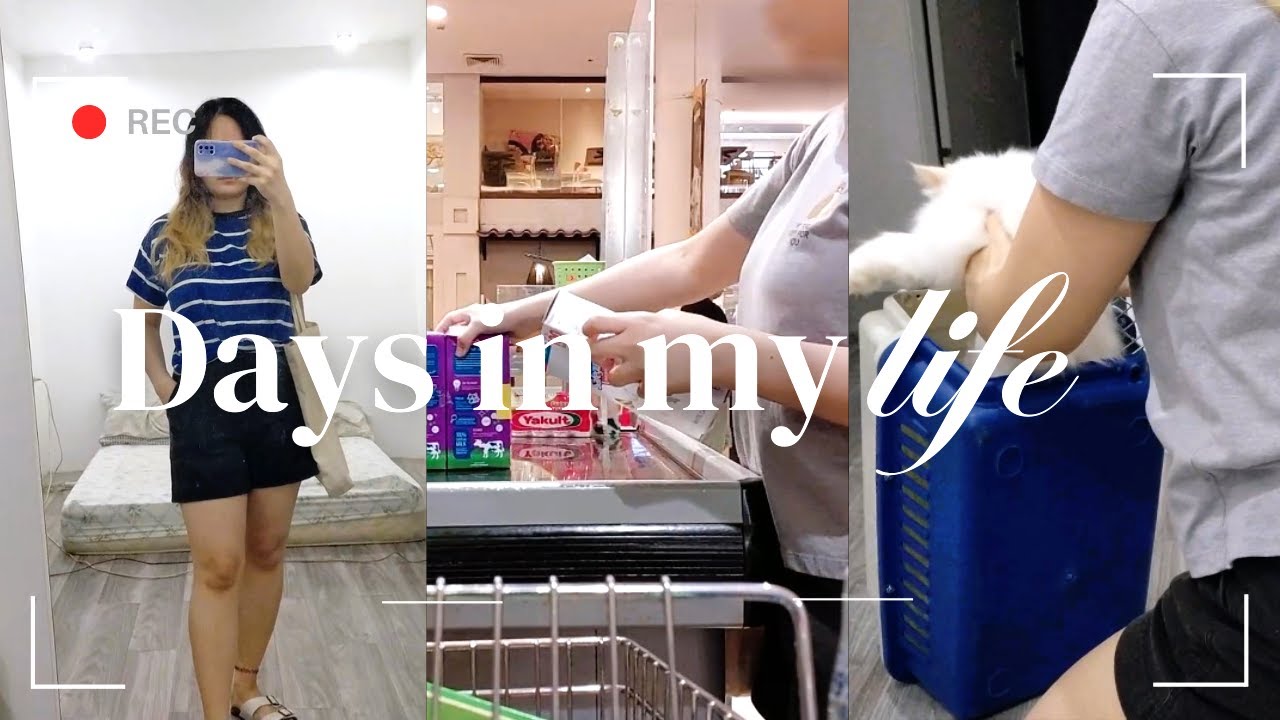 days in my life | cleaning, cravings, grocery shopping, restocking food ...