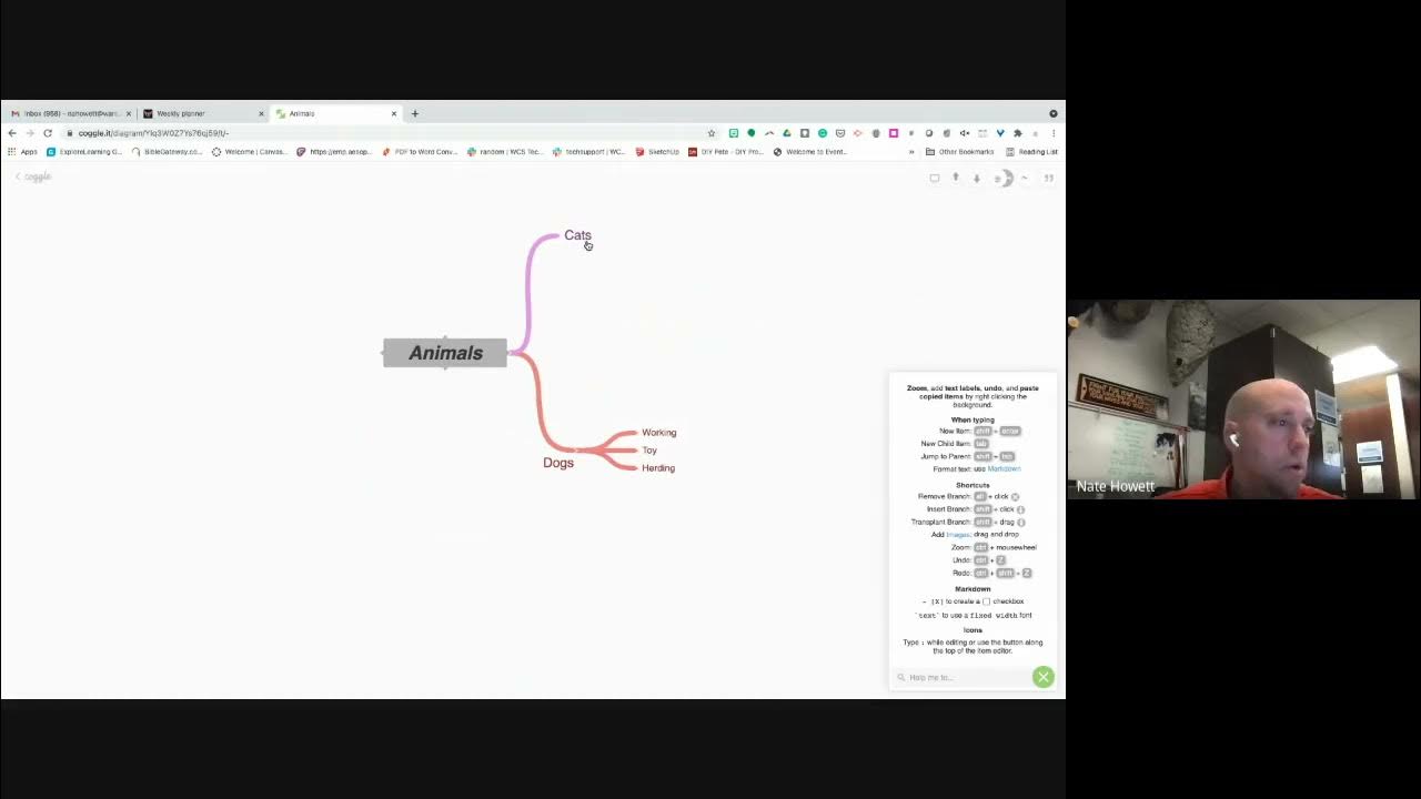 How to use Coggle - YouTube