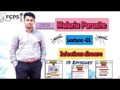" Malaria " Lecture by Dr Raghib Asfak for FCPS P-1,MRCP P-1 ...
