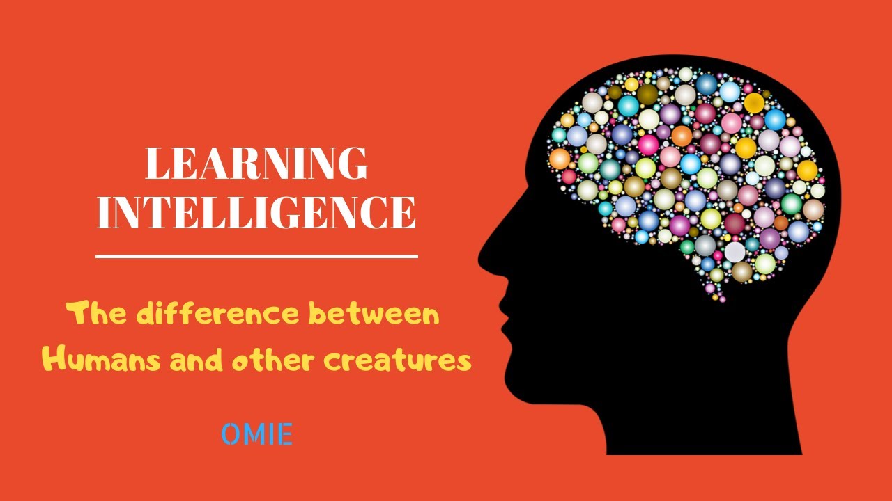 LEARNING INTELLIGENCE | The difference between humans and other ...