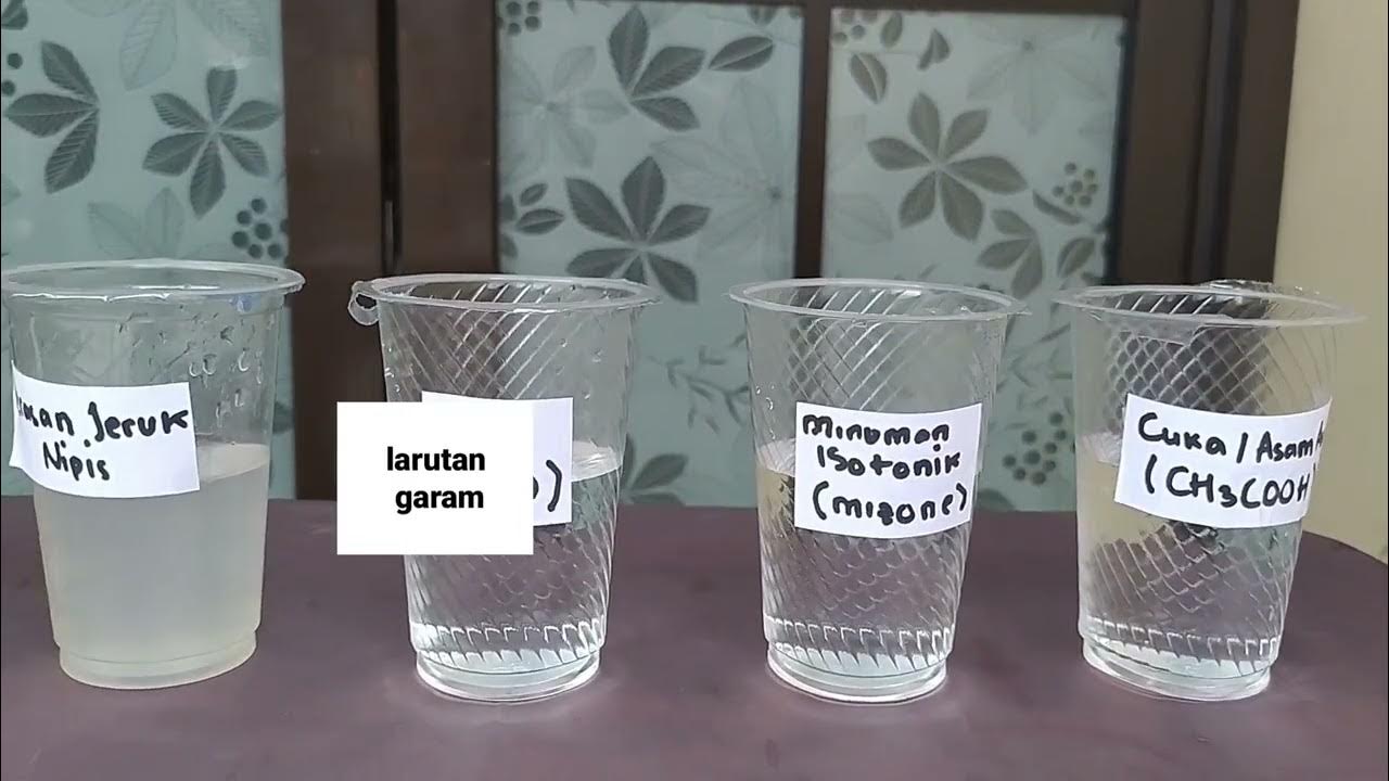 Praktikum uji daya hantar listrik - YouTube