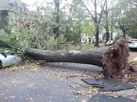 Hurricane Sandy - Tree Crushing Car (NJ) - YouTube