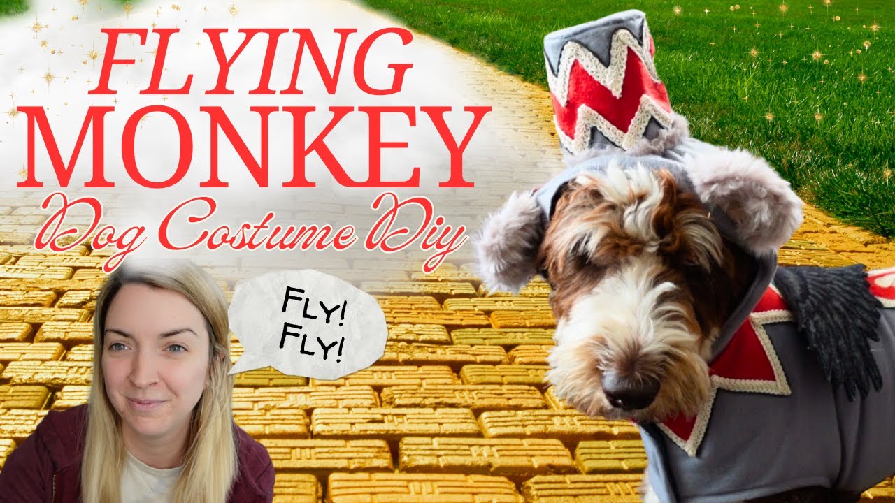 Flying Monkey Costume Dog Poster