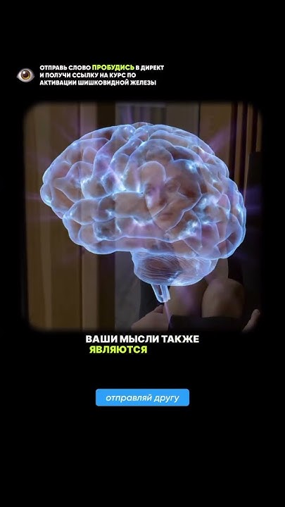 Один из важнейших законов человеческого существования Youtube