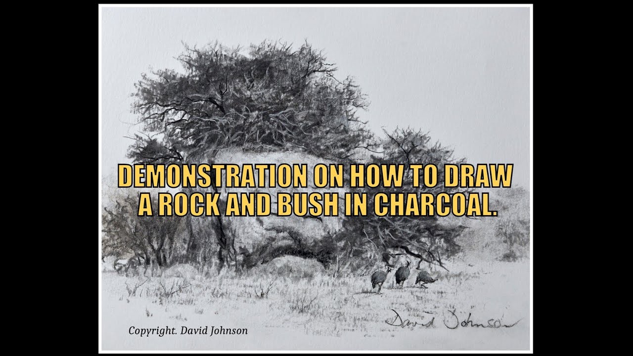 DRAWING OF ROCK AND BUSH. DEMONSTRATION IN CHARCOAL. - YouTube