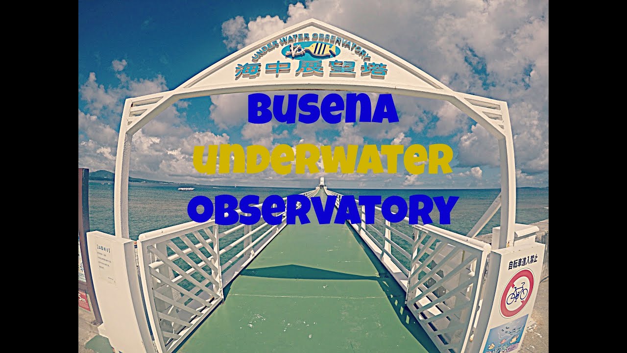 Busena Underwater Observatory Trip - YouTube