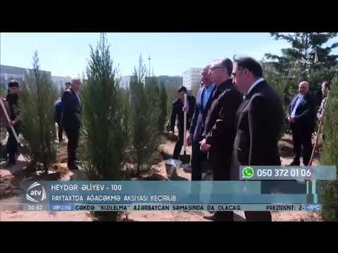 Paytaxtda Nərimanov bələdiyyəsinin xidmət göstərdiyi yaşıllıq zolağında agacəkmə aksiyası kecirilib