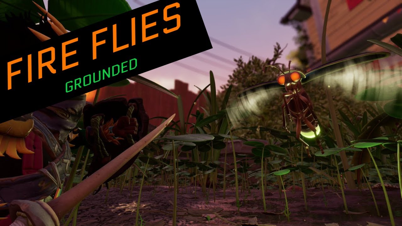 Fire Flies, where to find them, and an easy way to kill them in ...