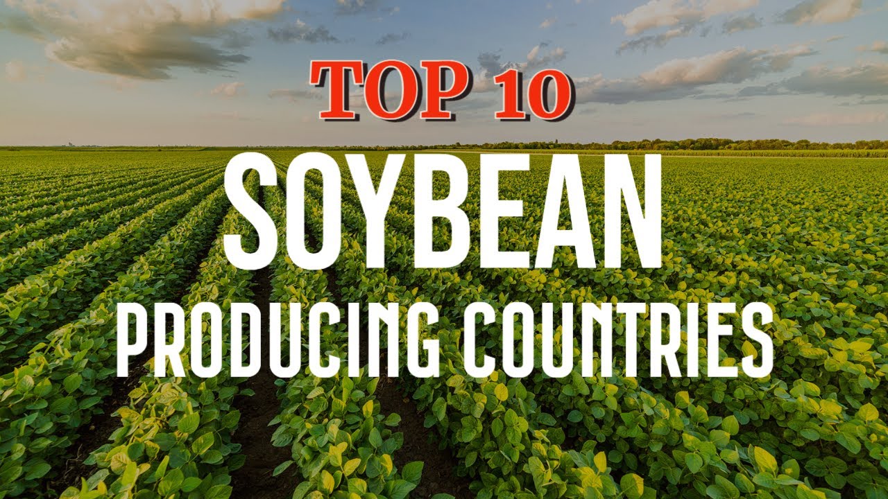 Top Ten Soybean Producing Countries - YouTube