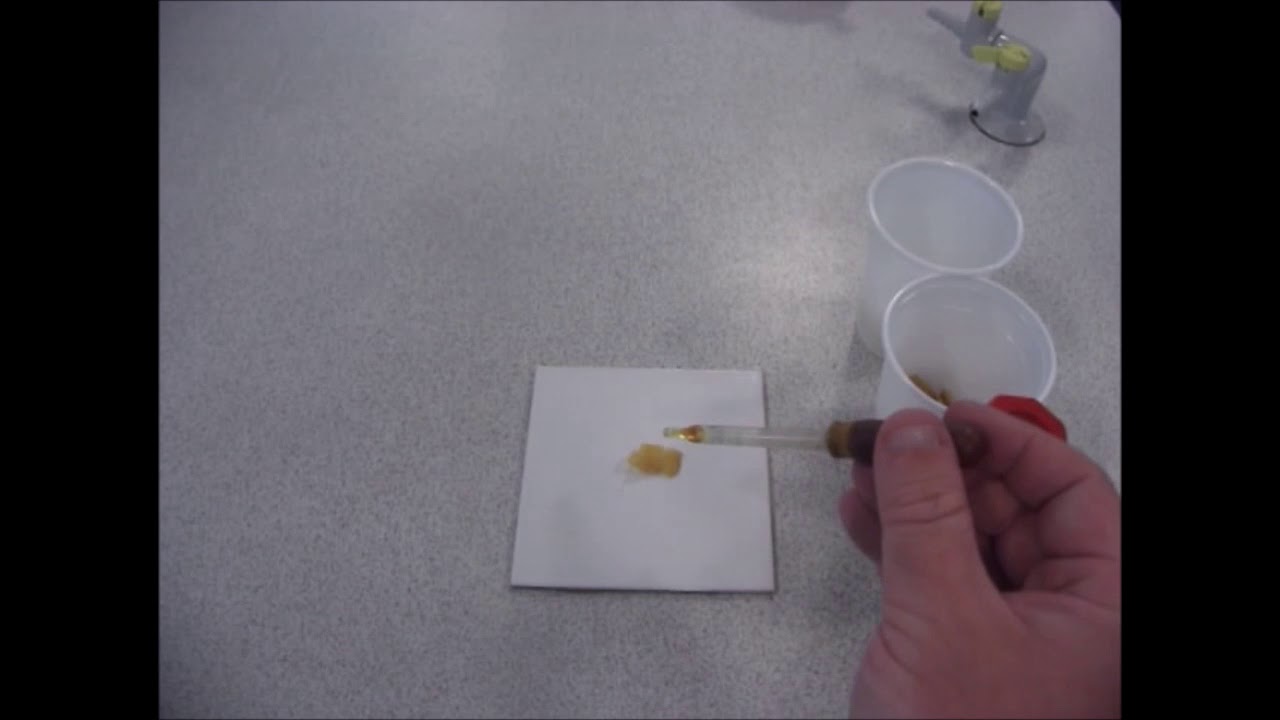 Testing Food for Starch - YouTube