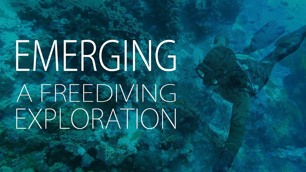 EMERGING: A Freediving Exploration - Creative and Inspirational ...