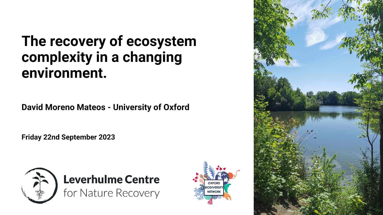 The recovery of ecosystem complexity in a changing environment David ...