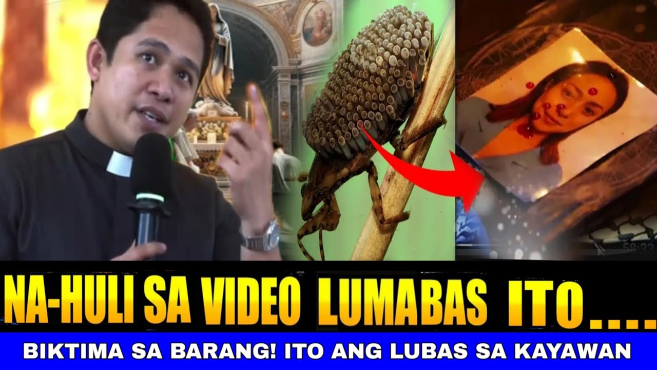 Grabe! Sapul sa Video mga INSEKTO lumabas sa katawan ng nabarang. - YouTube