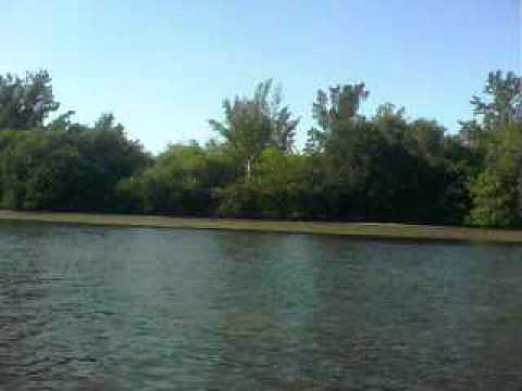 Anclote River Park- Pasco County, FL - YouTube