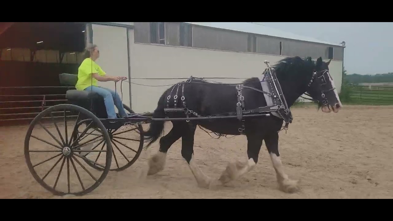 Michelle driving Millie single - YouTube
