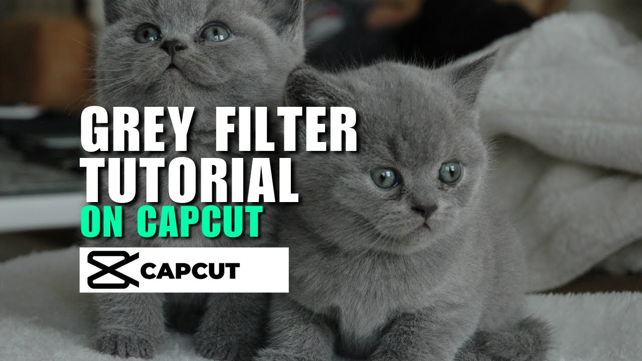 Grey Filter Tutorial on CapCut NEW UPDATE JUNE 2023 | How to Make Grey ...