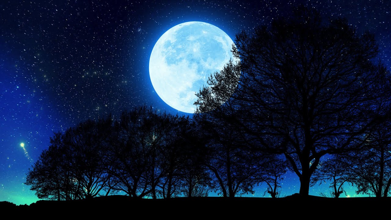 Moon Through Beautiful Trees - YouTube