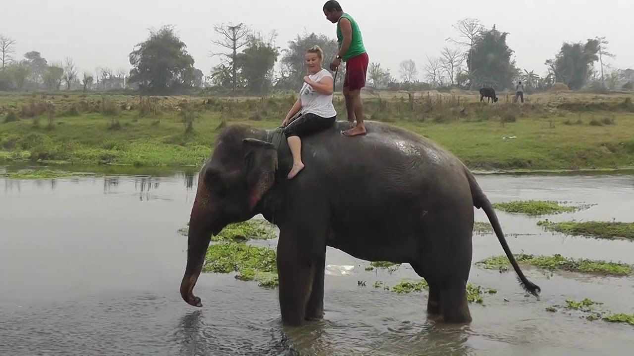Elephant Riding into Chitwan National Park - YouTube