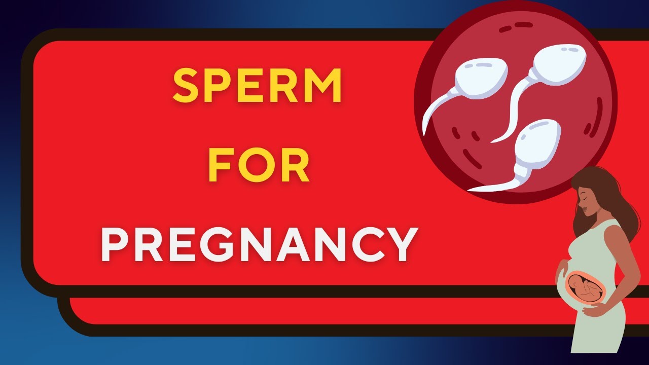 The Exact Count of Sperm to Achieve Pregnancy | Men Fertility - YouTube