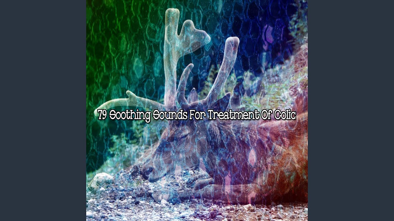 Lull into Slumber - YouTube