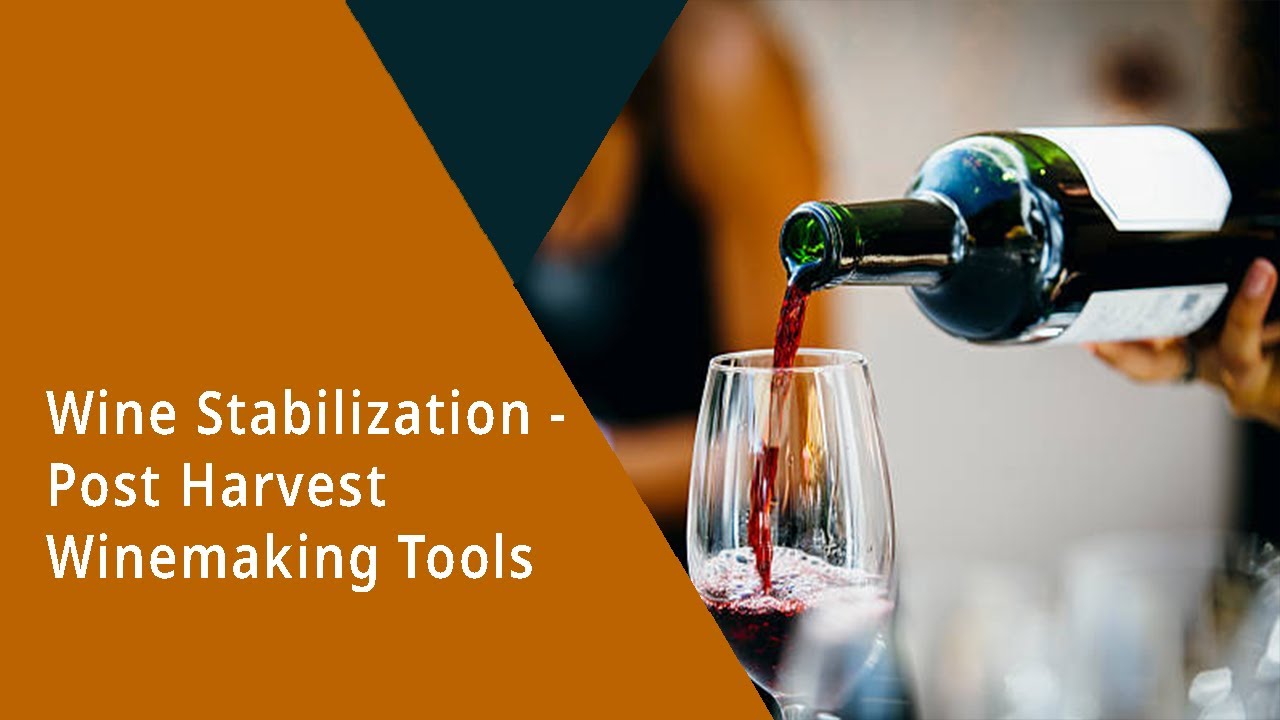 Wine Stabilization - Post harvest winemaking tools - YouTube