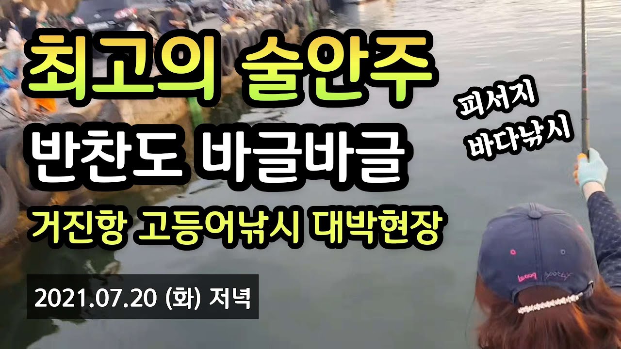 술안주가바글바글거진항고등어낚시여름휴가피서지생활낚시터고등어조림반찬고등어횟감cast Netpescasbs생활의달인바다투망달인원투형님카드채비크릴고등어낚시최고의고급