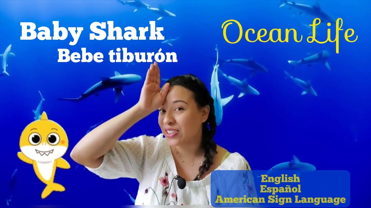 Baby Shark and more! Songs for babies and toddlers in English and ...