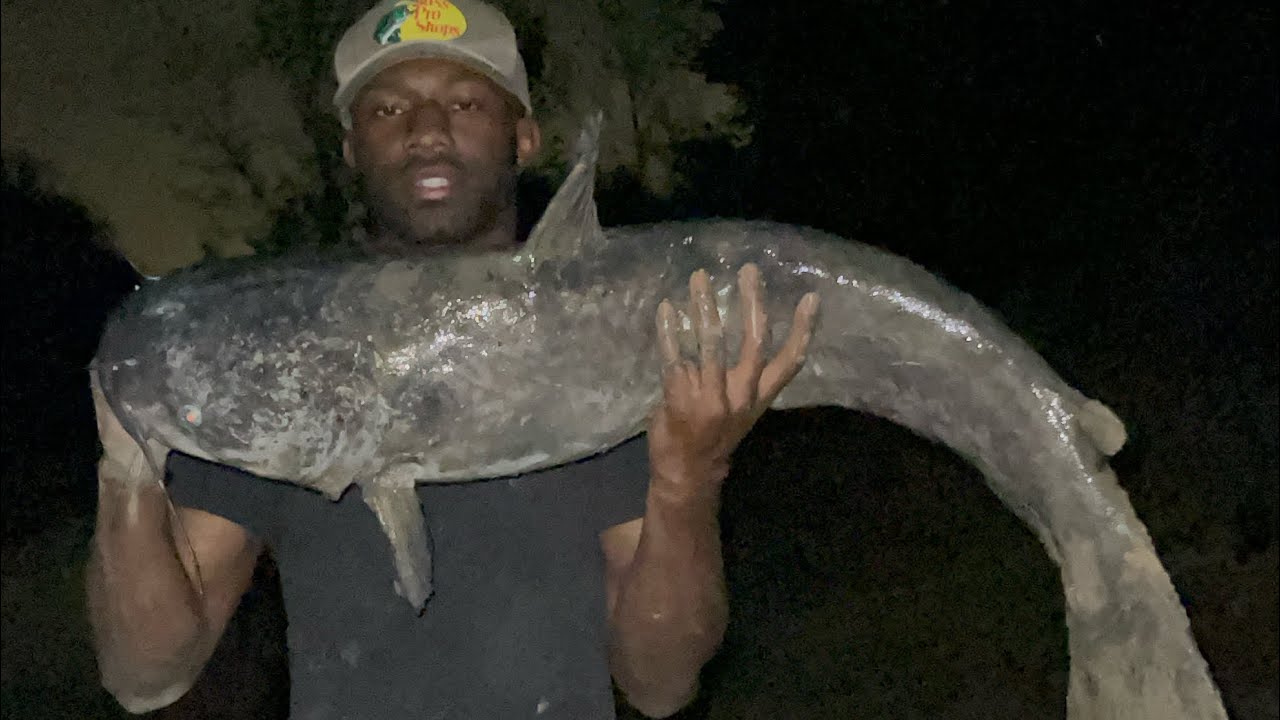 27 Pound Blue Catfish Peeling Drag - YouTube