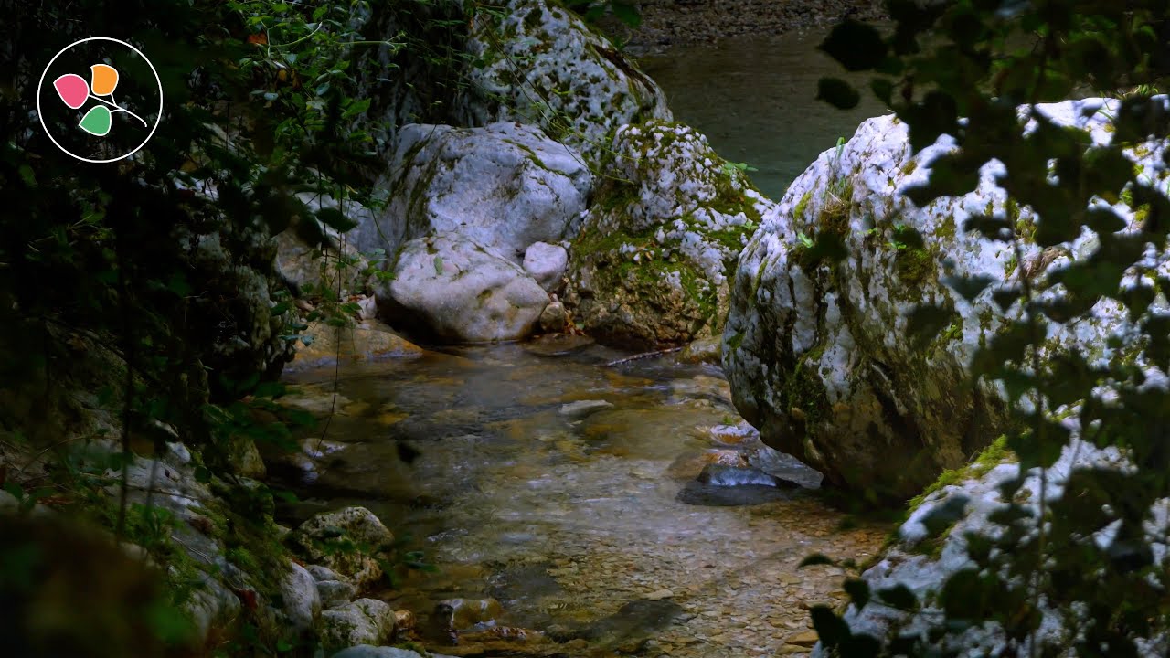 Nature's Lullaby. A Serene Small Waterfall Of Spring Water - YouTube