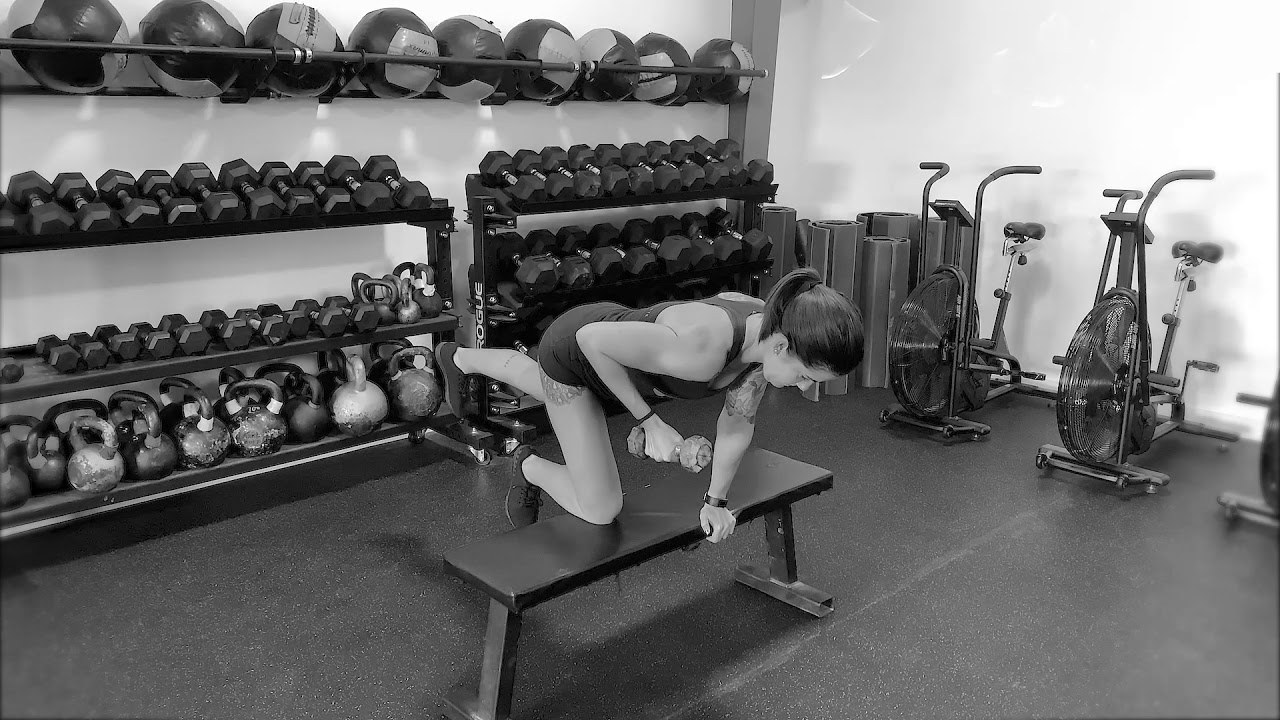 Quadruped Bird Dog Rotational Row - YouTube