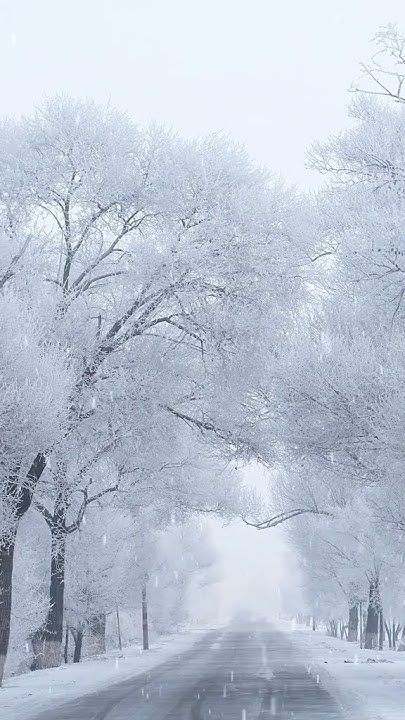 一个转身，秋天已成了故事，一个回眸，冬天便成了风景！秋已尽，今立冬。愿你天冷有衣暖，心冷有人暖！ Youtube