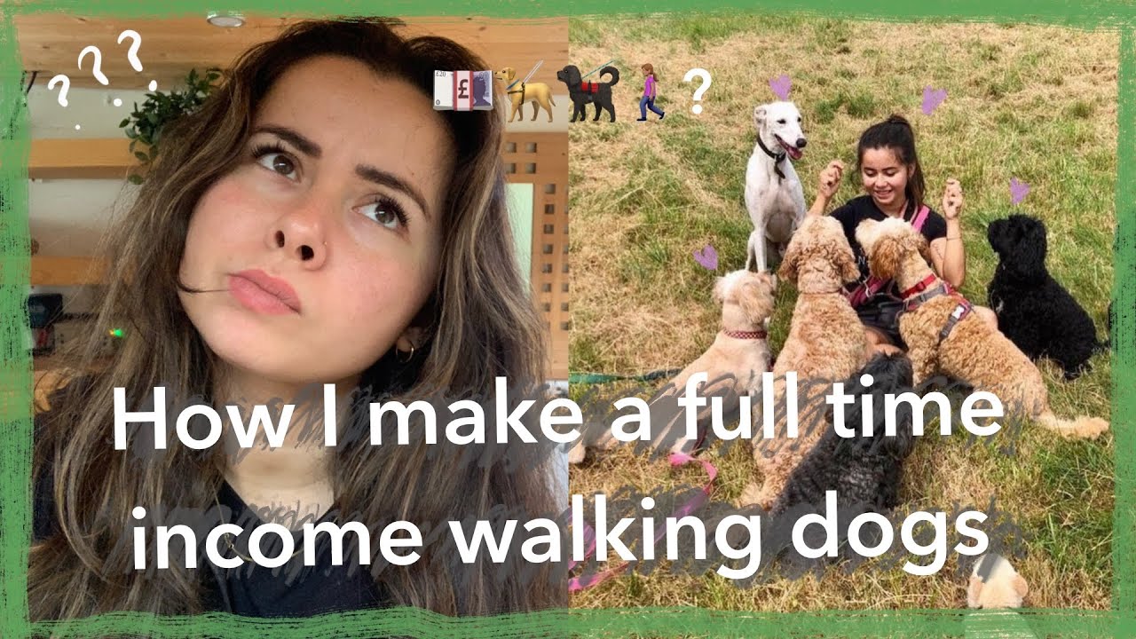 How I Make A FULL Time Income Walking Dogs YouTube how-i-make-a-full-time-income-walking-dogs-youtube
